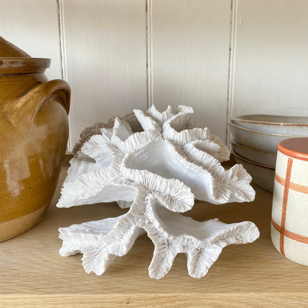Coral Stem – Tin Coast Design Coastal Interior Design Shop in Cornwall